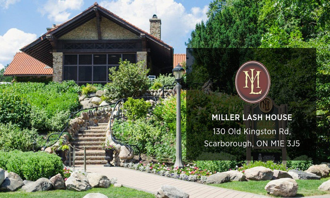 Lashing Out – 10tation + Freebird